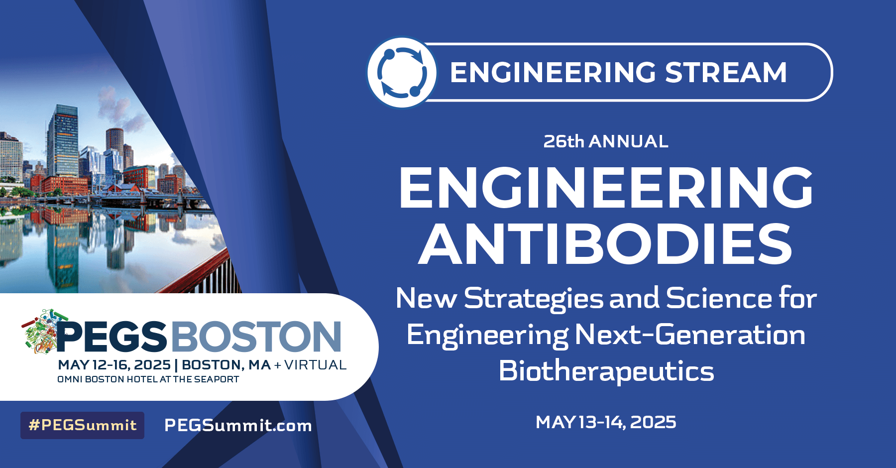 Engineering Antibodies at PEGS Summit | Protein & Antibody Engineering ...
