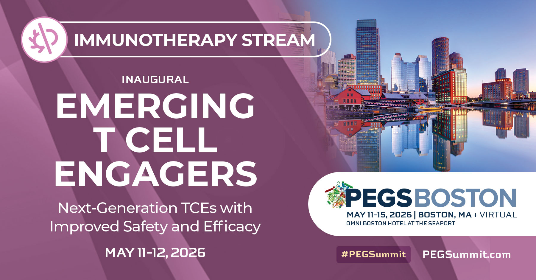 Emerging T Cell Engagers | Protein & Antibody Engineering Summit 2026